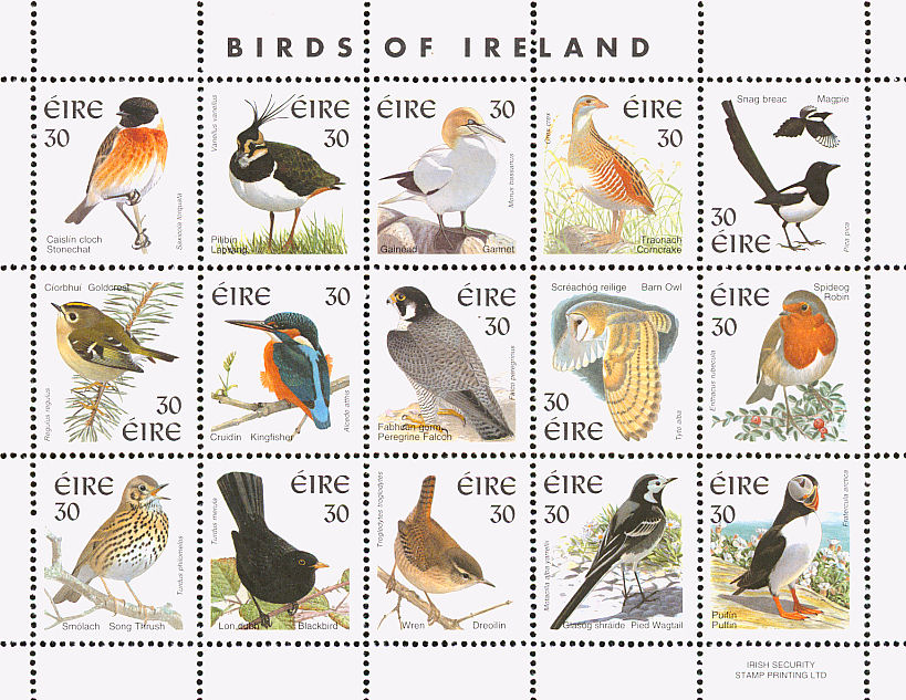 Collecting Complexity - Bird Stamp Society