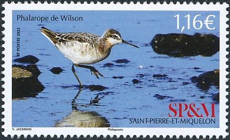 St Pierre et Miquelon Annual Bird Issue (7th January 2023) - Bird Stamp ...