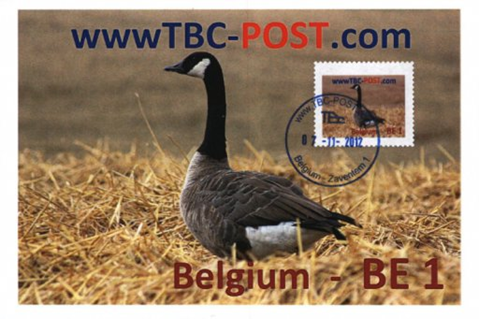 Bird Stamps of Belgium: TBC-Post Part 3 - Bird Stamp Society