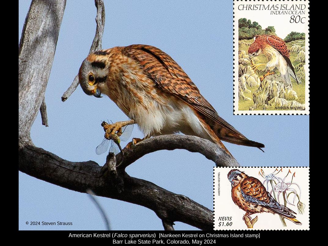 Books and catalogues - Bird Stamp Society